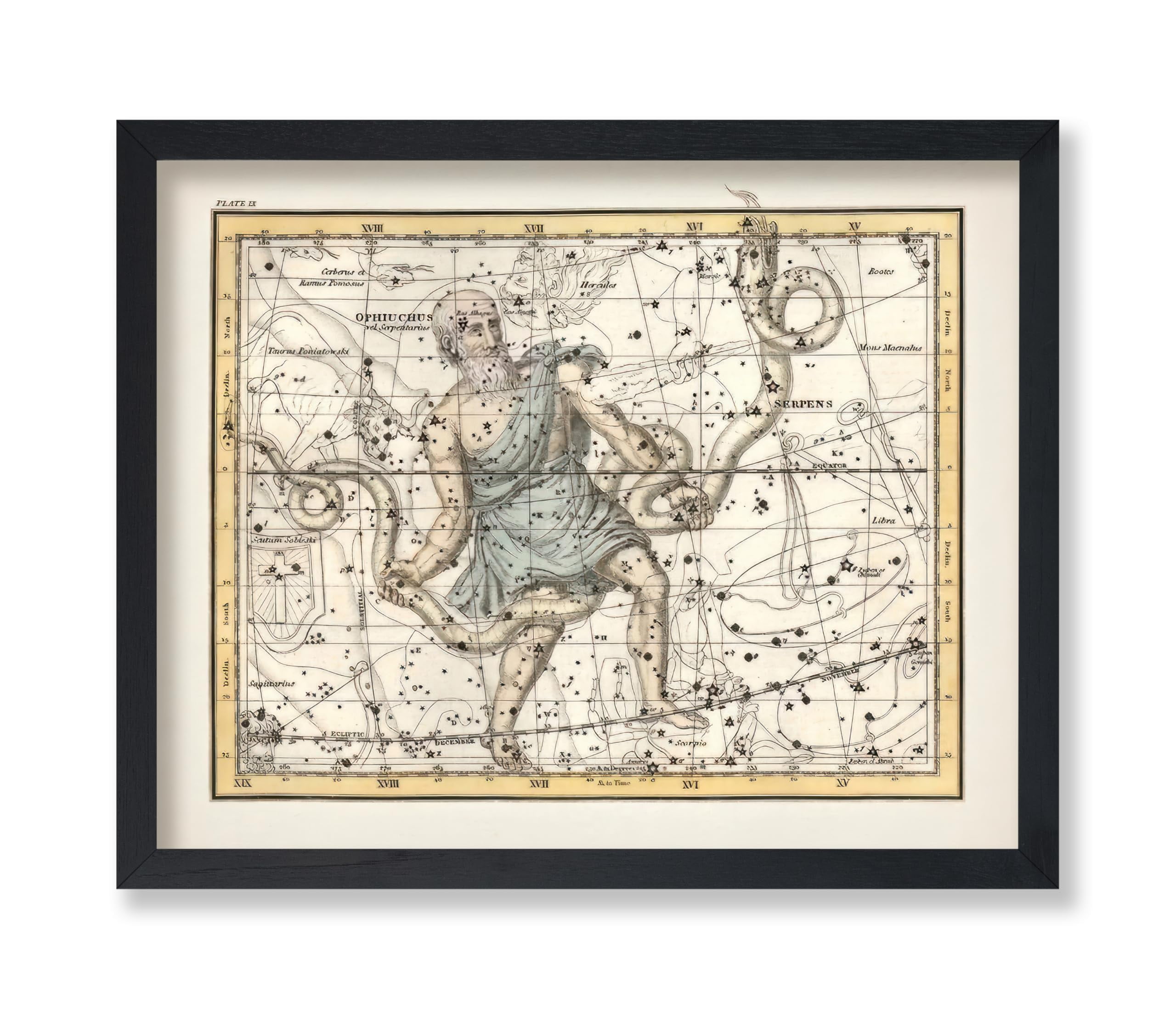 Poster Master Ophiuchus, Serpens Zodiac Sign Poster, 8x10 Unframed Art ...