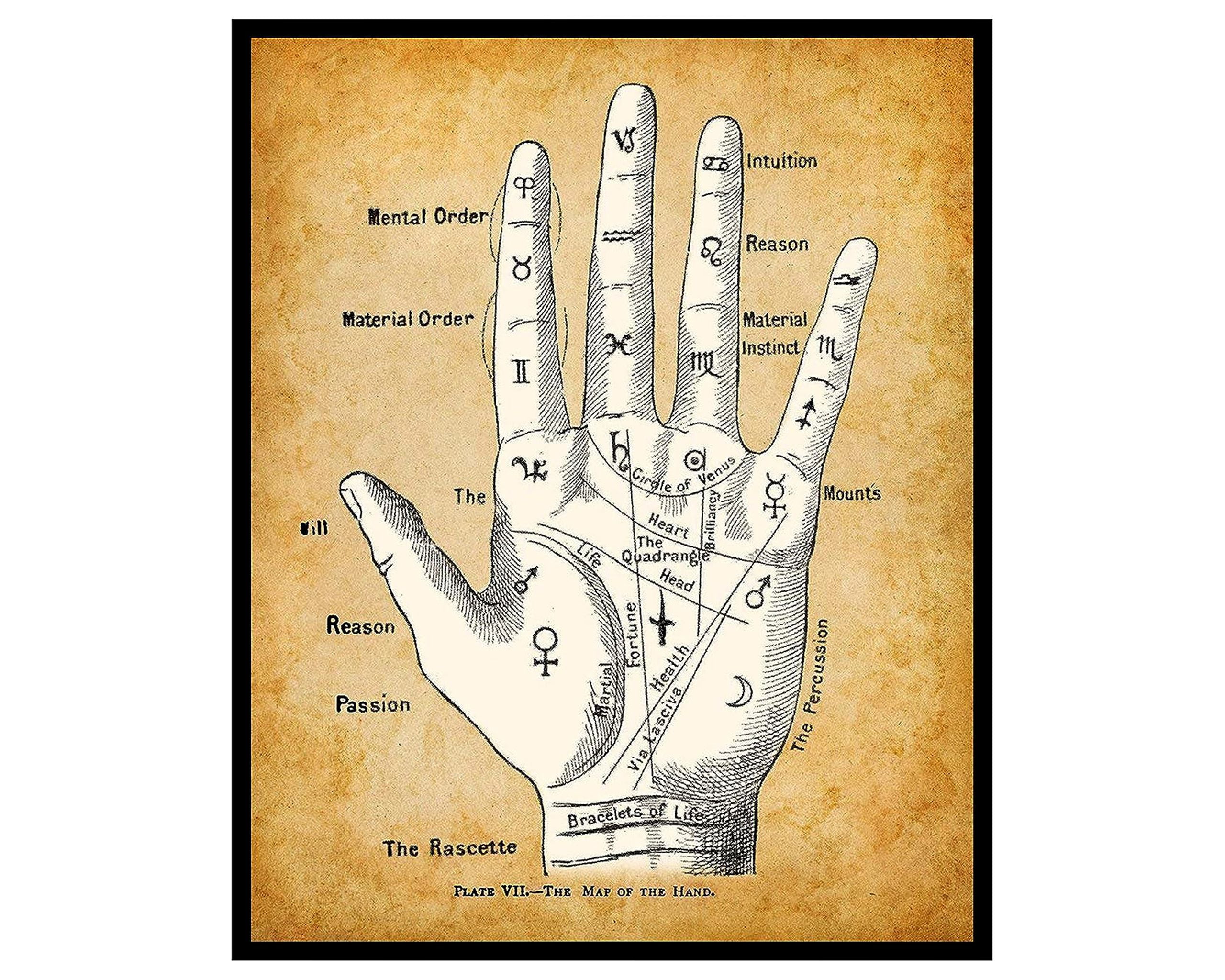 Poster Master Palm Reading Divination Chart, 11x14 Unframed Art Print ...
