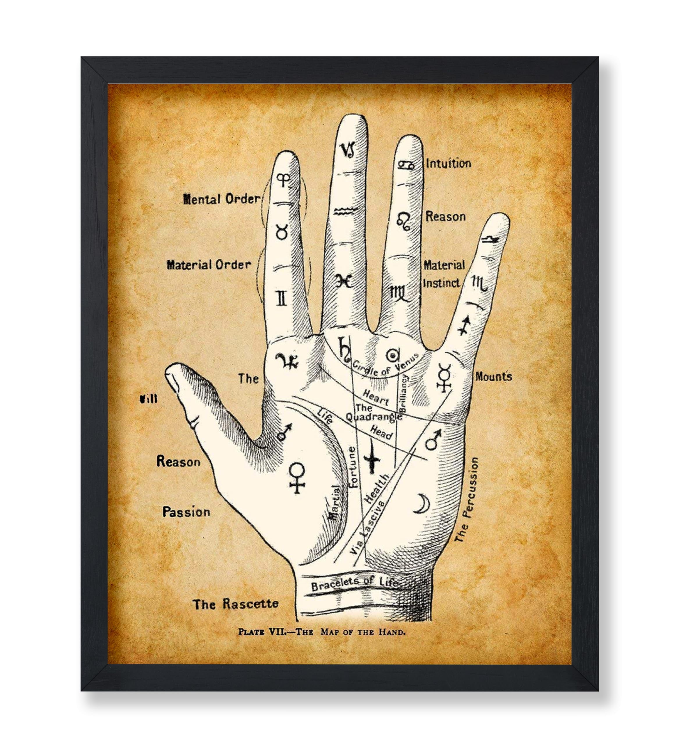 Poster Master Palm Reading Divination Chart, 8x10 Unframed Art Print ...
