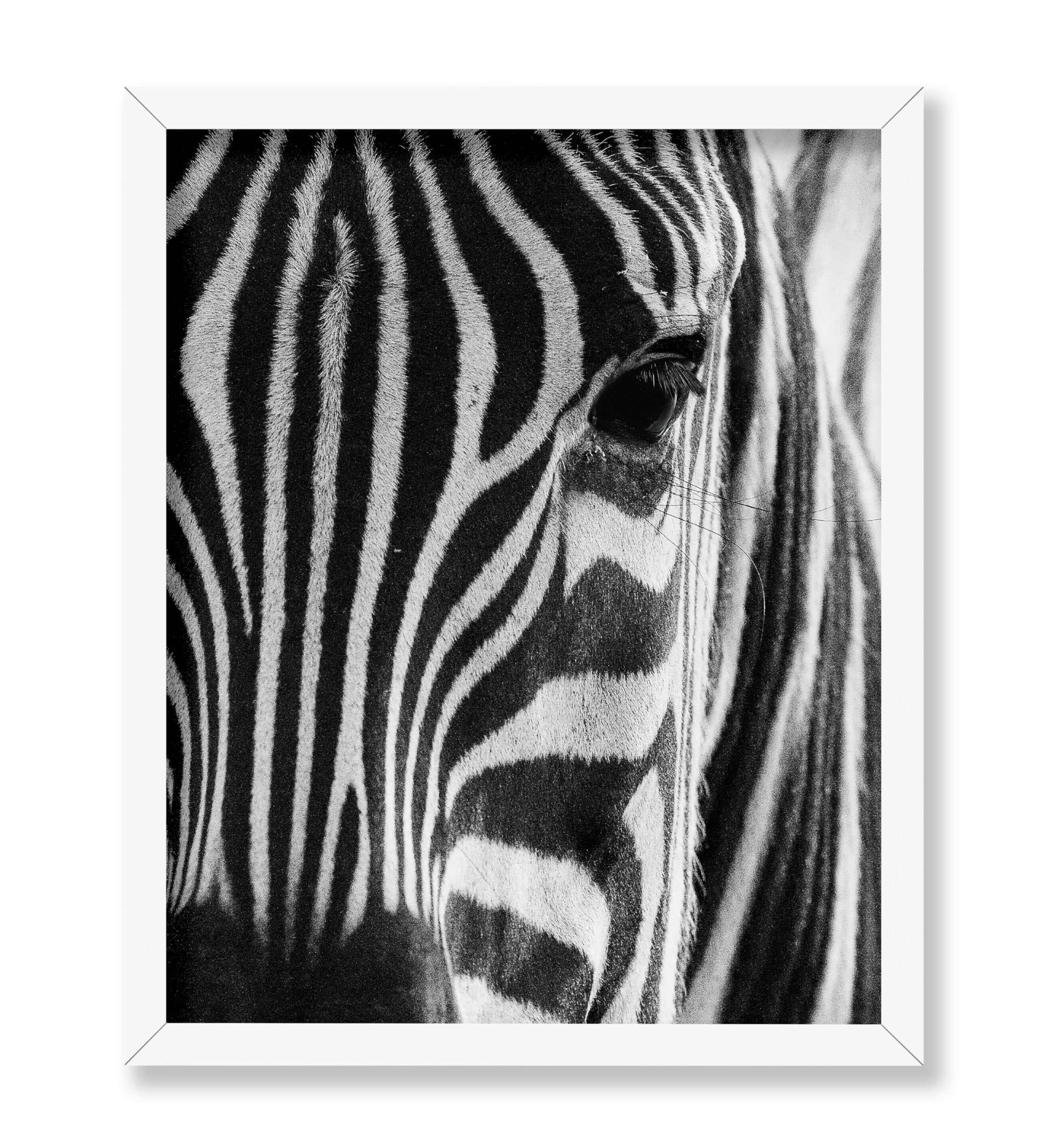 Poster Master Photograph Poster - Retro Animal Print - Striped Zebra ...