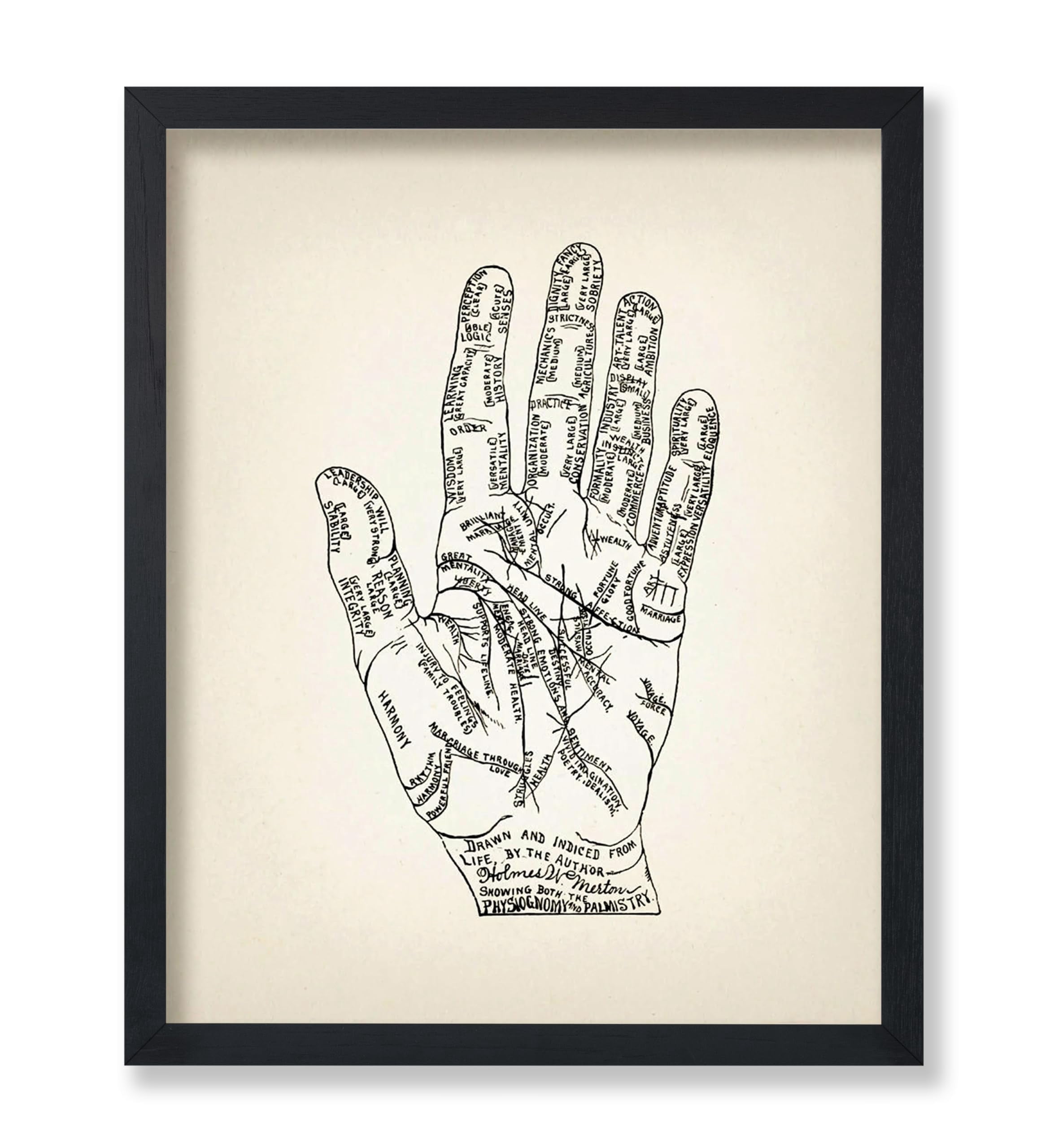 Poster Master Physiognomy and Palmistry Print 1899, 11x14 Unframed Art ...