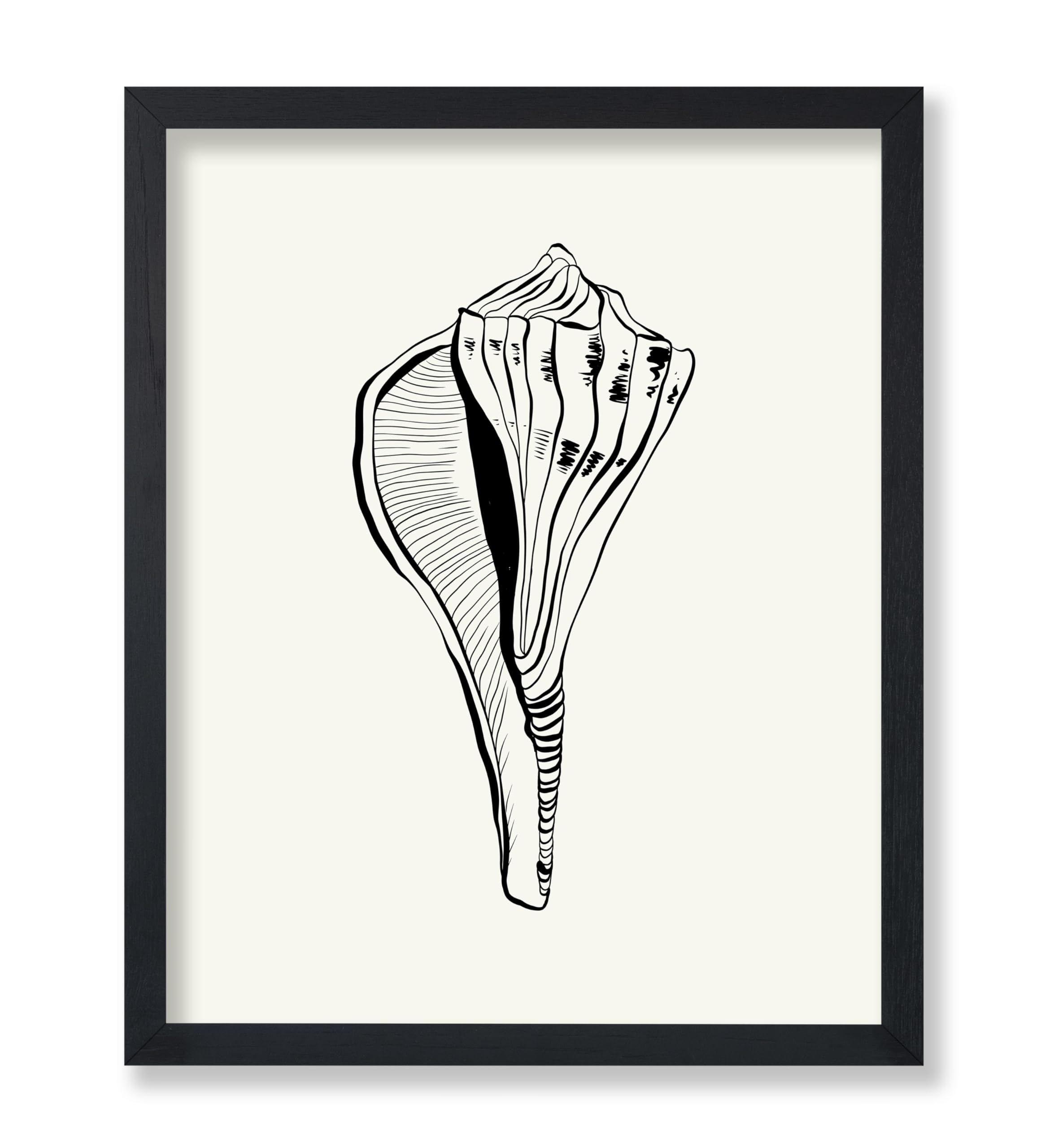 Poster Master Seashell Poster - Retro Aquatic Print - Marine Life Art ...