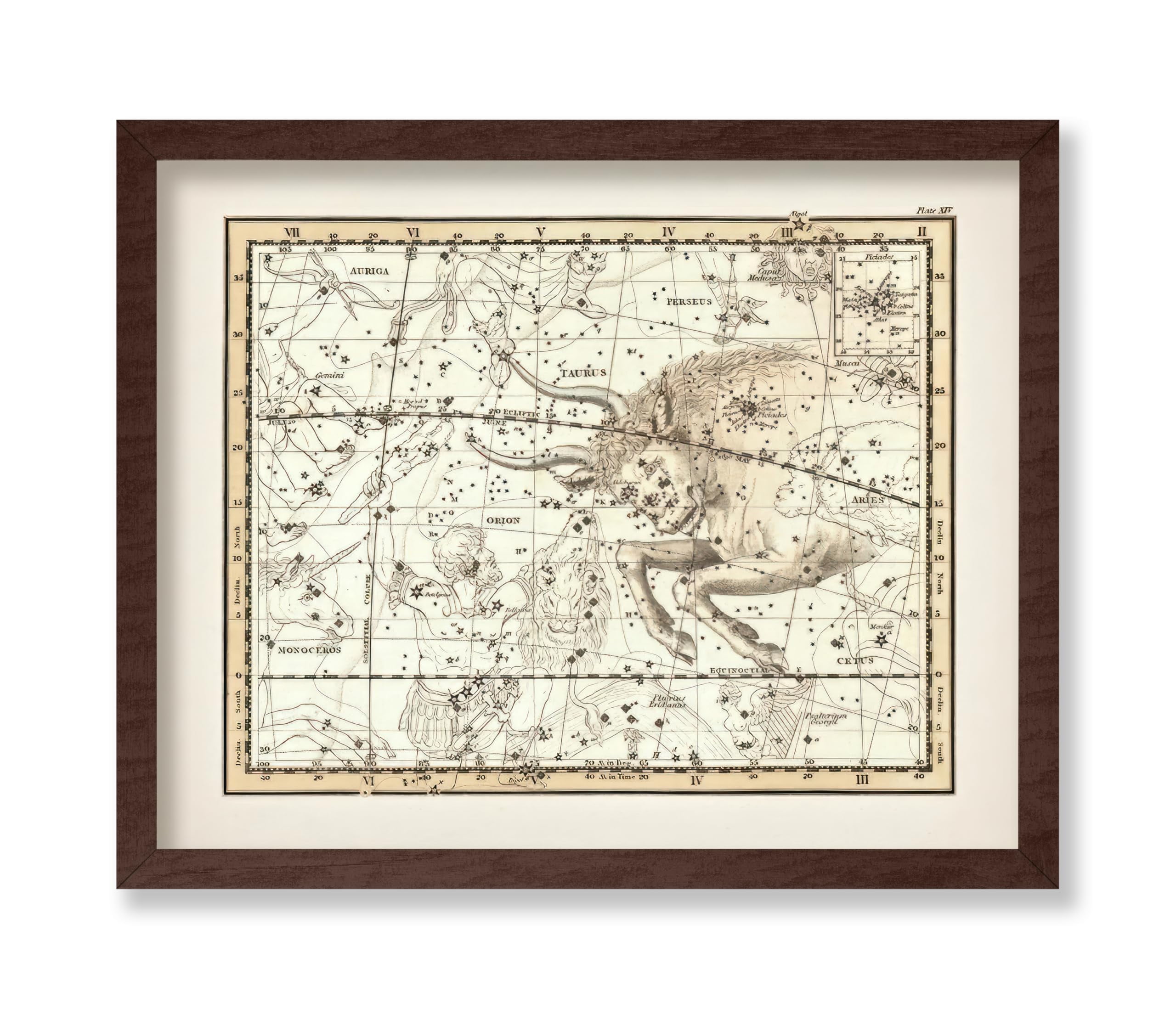 Poster Master Taurus the Bull Zodiac Sign Poster - Great Vintage Zodiac ...