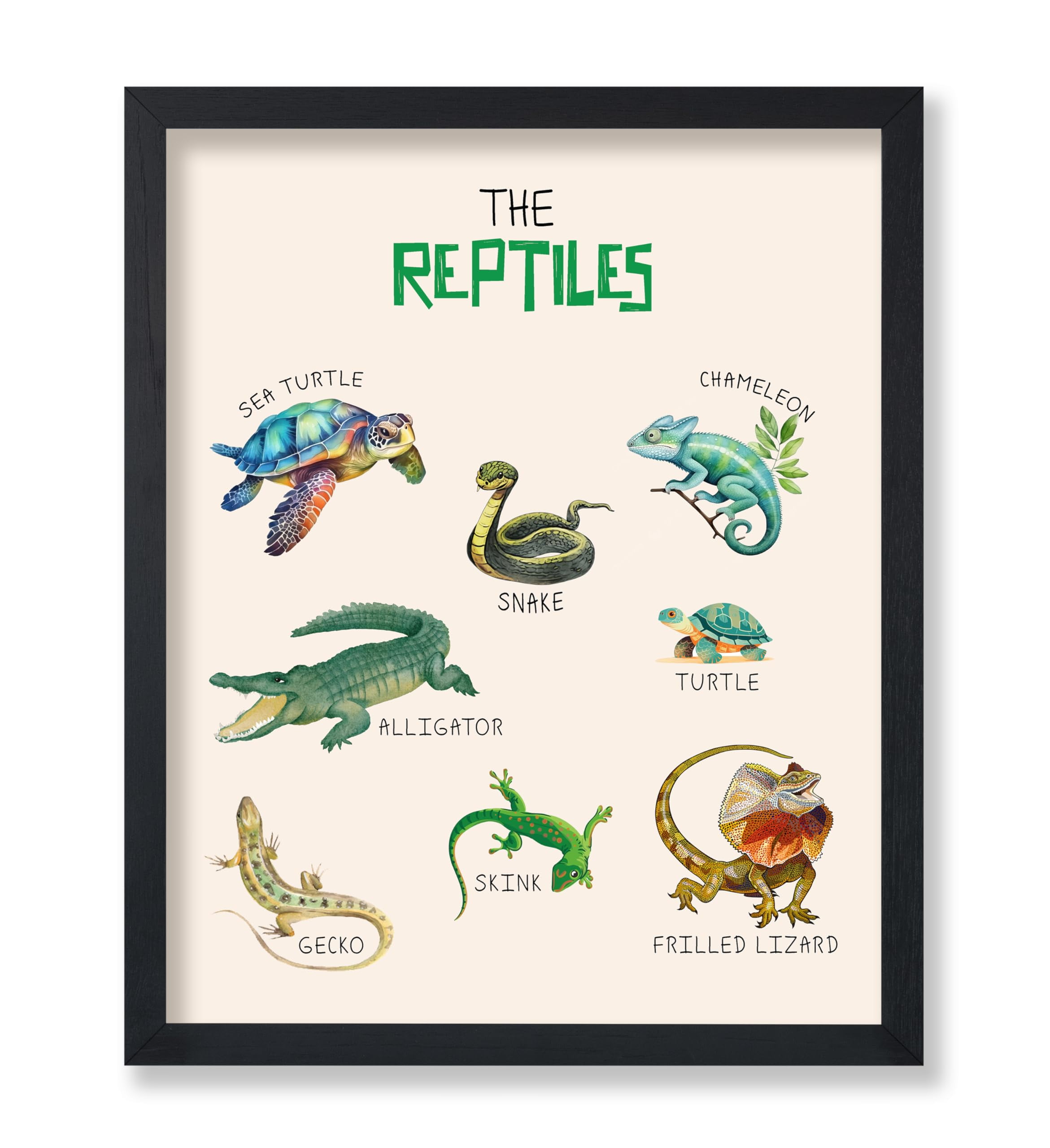 Poster Master The Reptiles Poster - Learning Materials Print ...