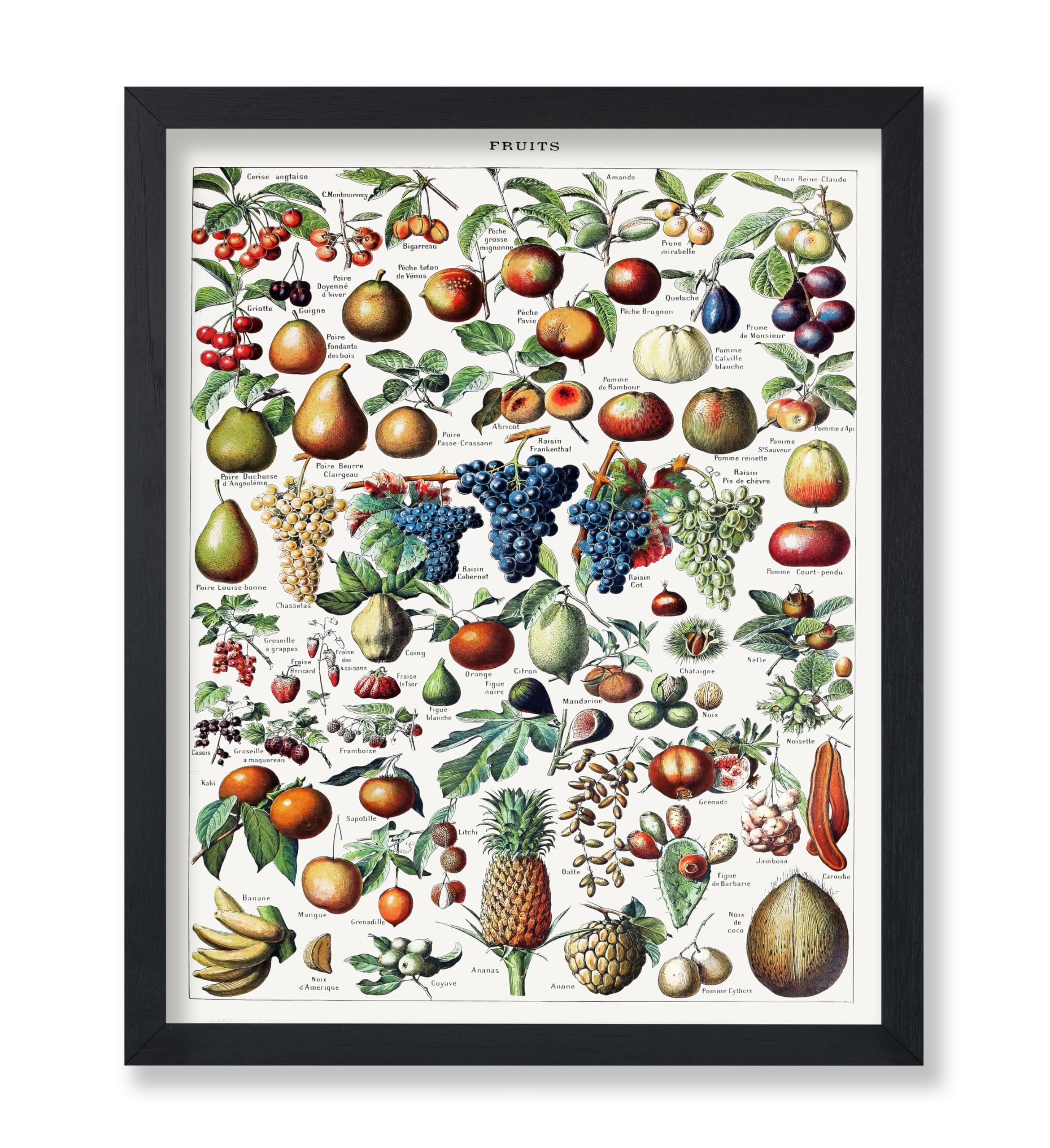 Poster Master Vintage Adolphe Millot Poster - Retro illustration Print ...