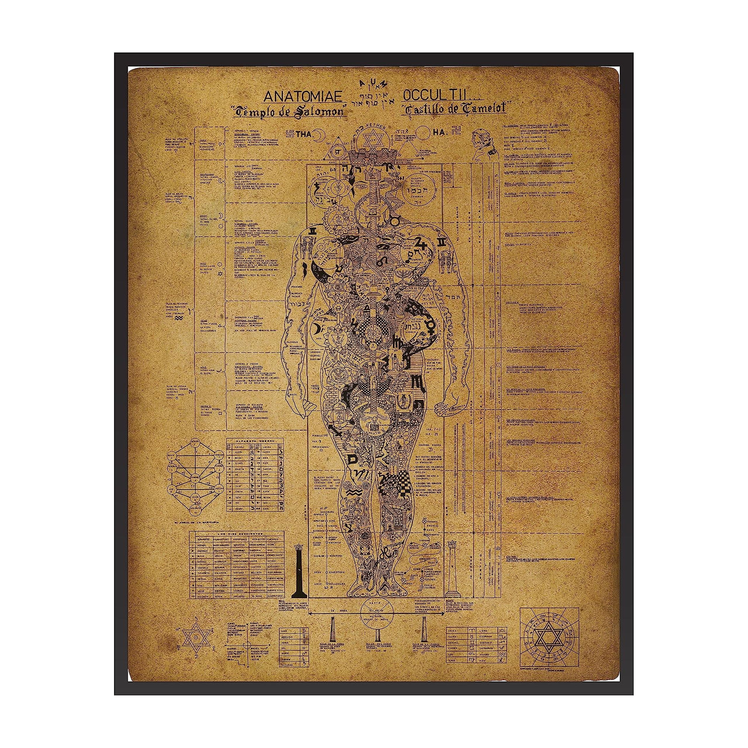 Poster Master Vintage Anatomy Poster - Retro Occult Print - 16x20 ...