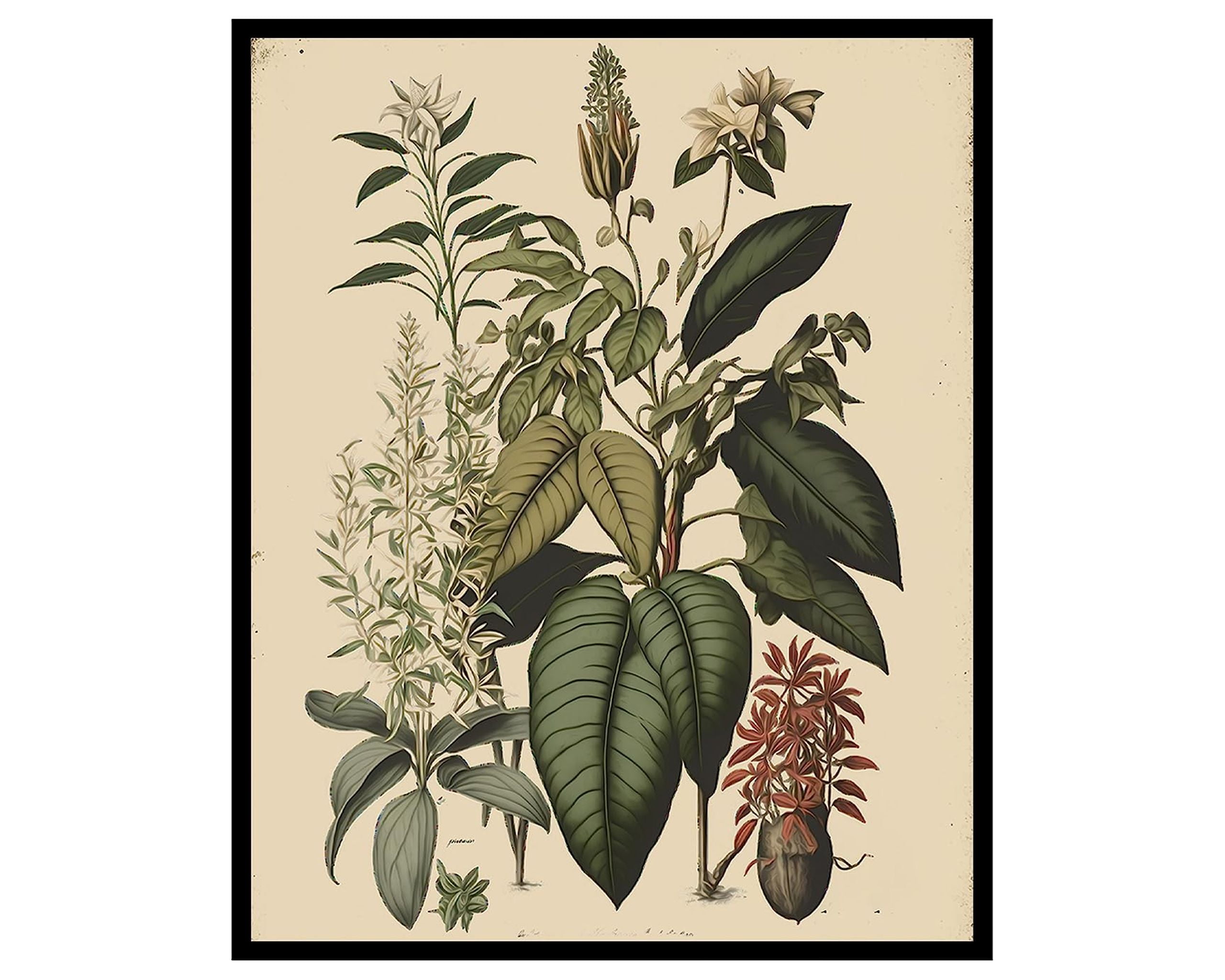 Poster Master Vintage Botanical Poster - Retro Floral Print - 8x10 ...