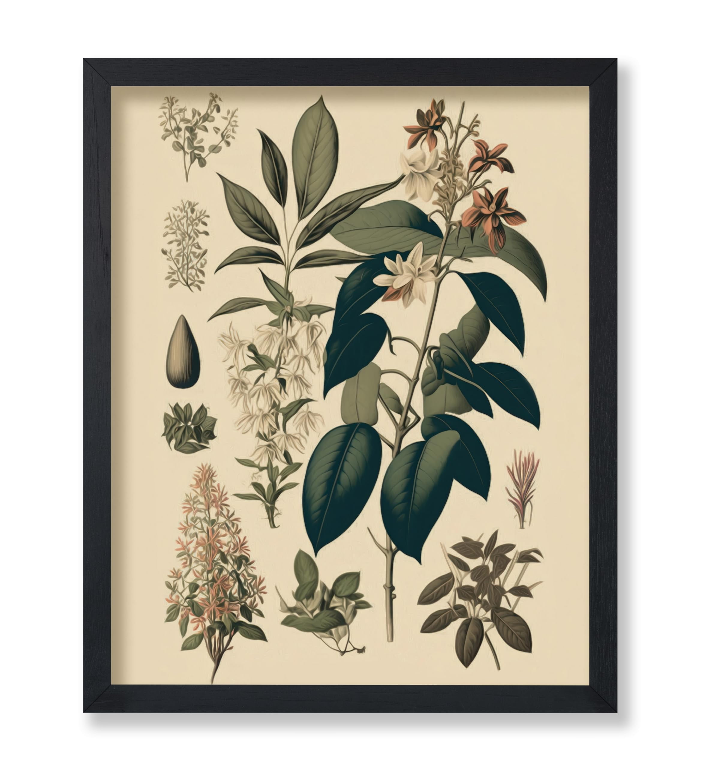 Poster Master Vintage Botanical Poster - Retro Floral Print - 8x10 ...