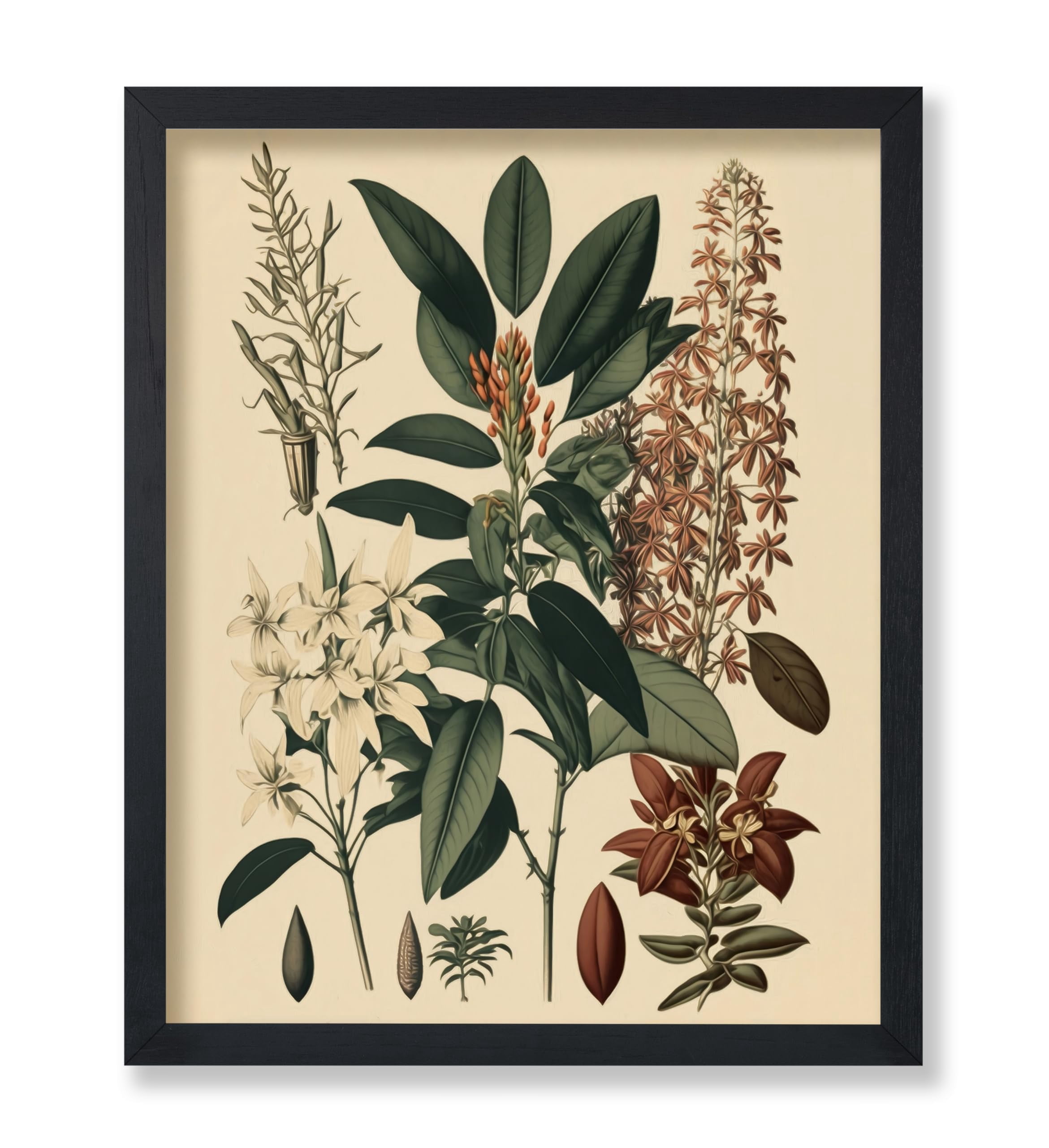 Poster Master Vintage Botanical Poster - Retro Floral Print - Gift for ...