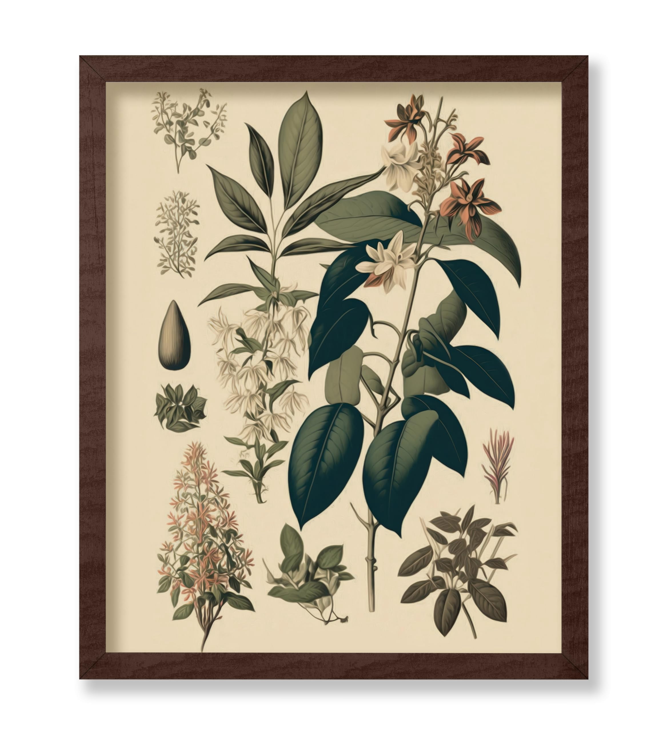Poster Master Vintage Botanical Poster - Retro Floral Print - Gift for ...