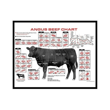 Angus Beef Chart Meat Cuts Diagram Poster 11in x 17in Mini Poster 11 x ...