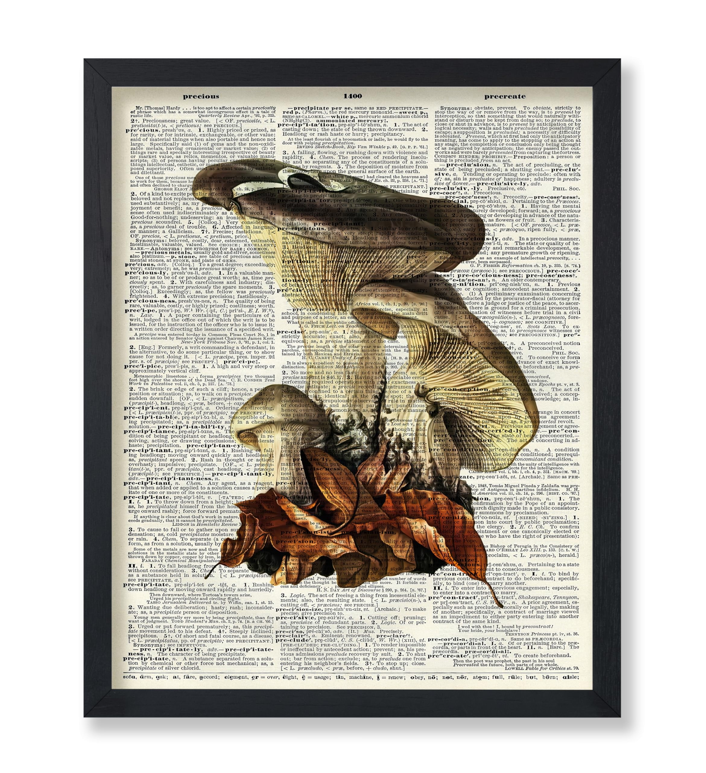Poster Master Vintage Dictionary Poster - Retro Botanical Print - 11x14 ...