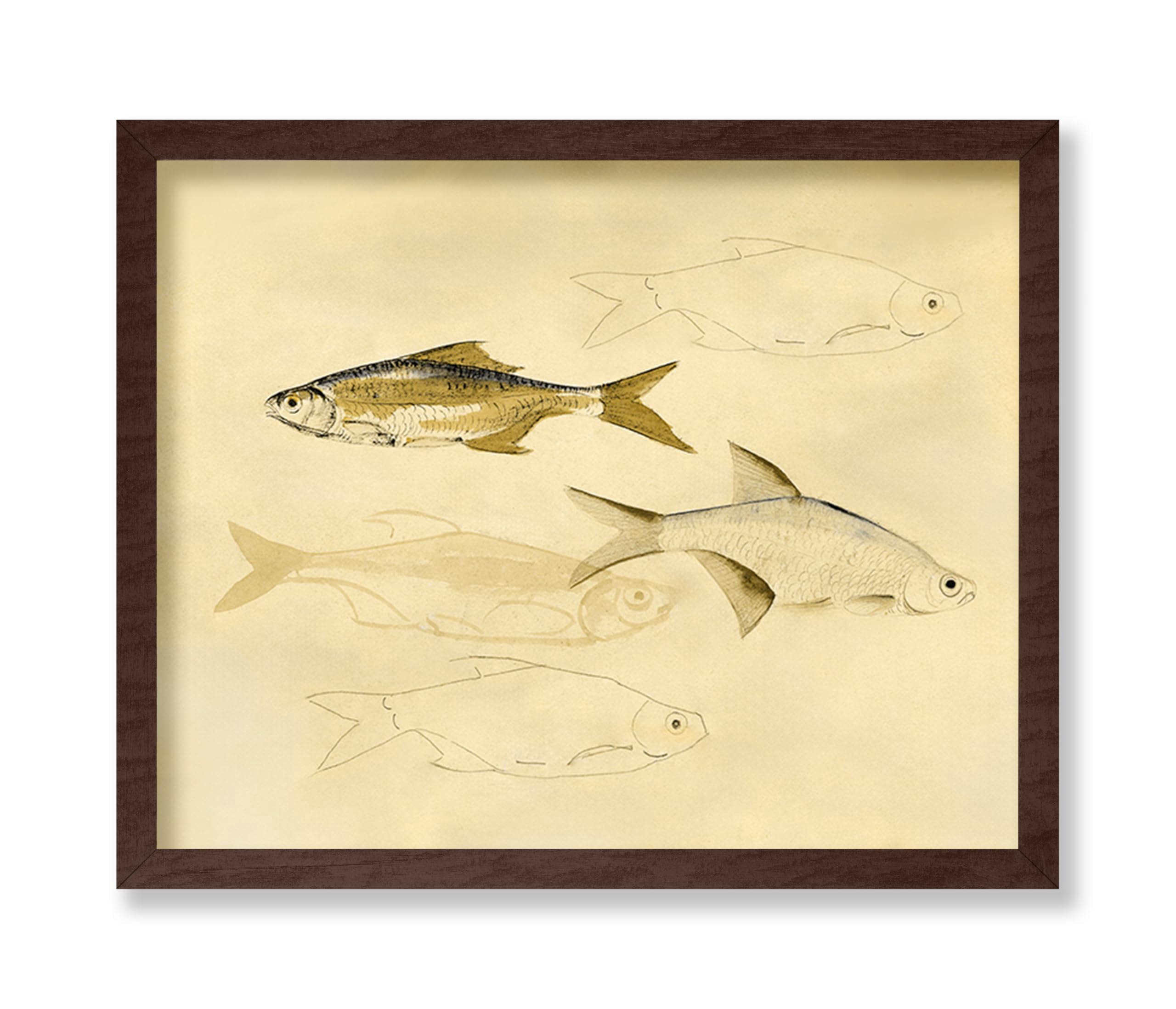 Poster Master Vintage Fish Sketch Poster - Retro Fish Print - Aquatic ...