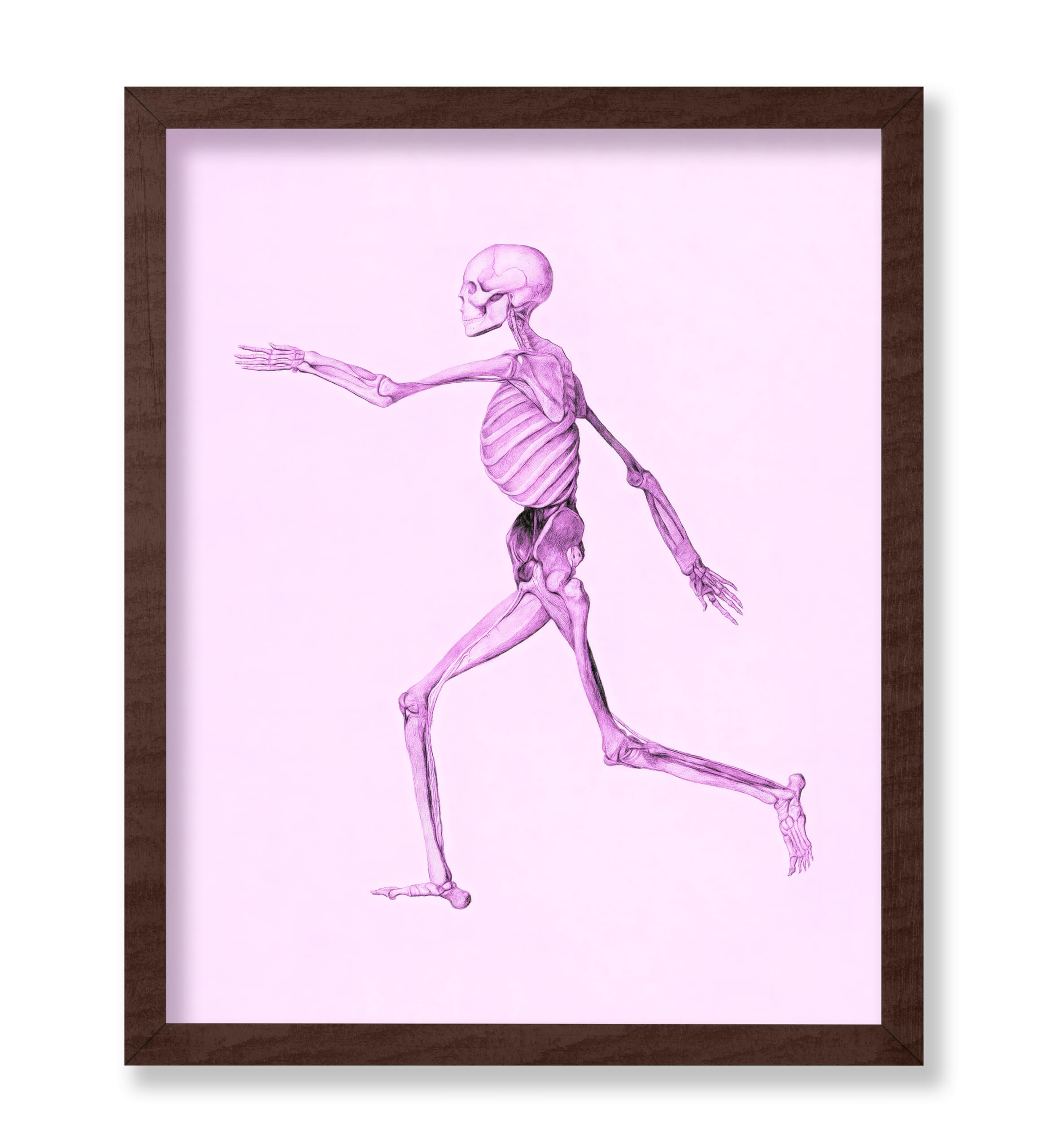 Poster Master Vintage Illustration Poster - Retro Anatomy Print - Gift ...
