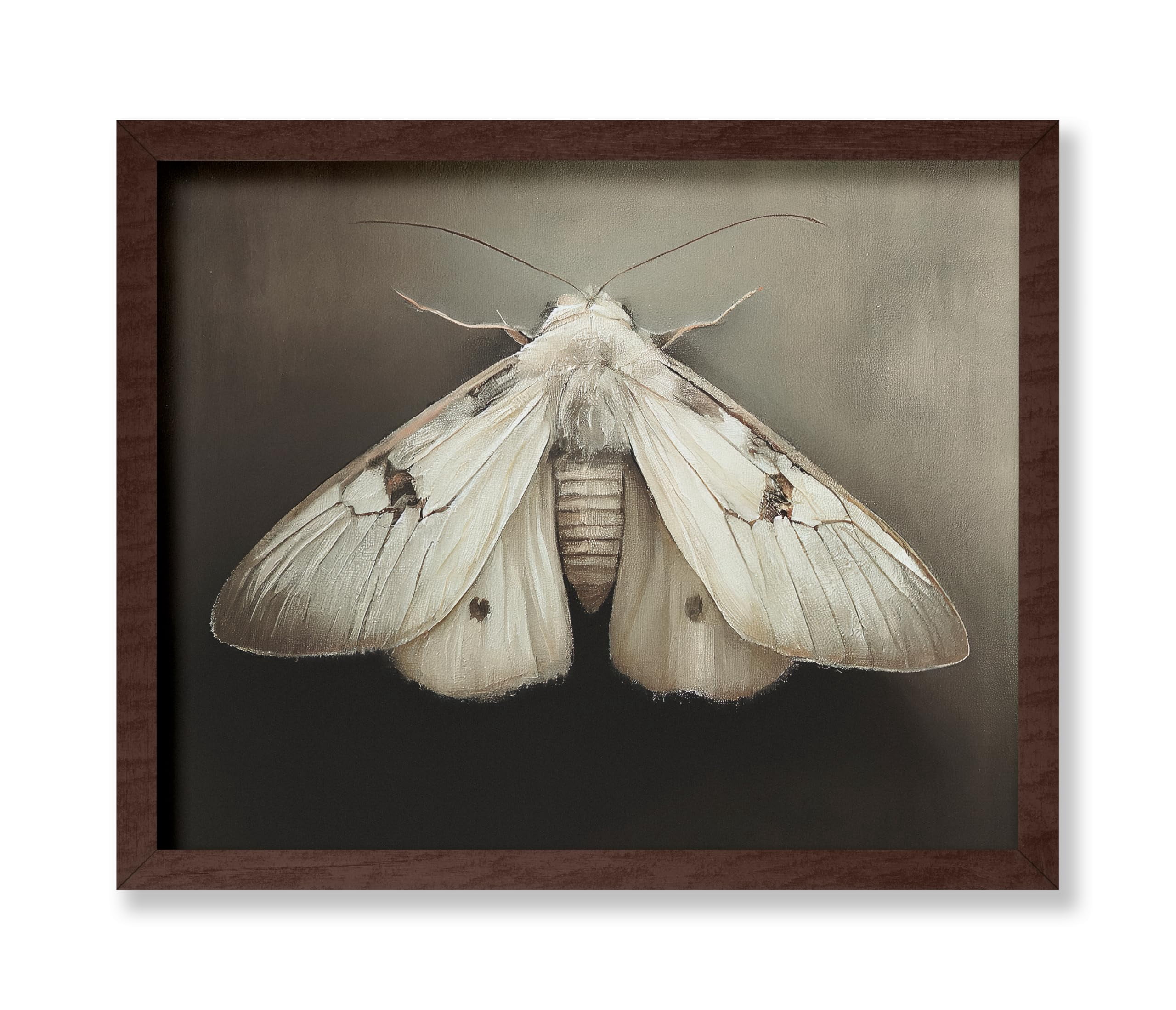 Poster Master Vintage Insect Poster - Retro Minimalist Print - Gift for ...
