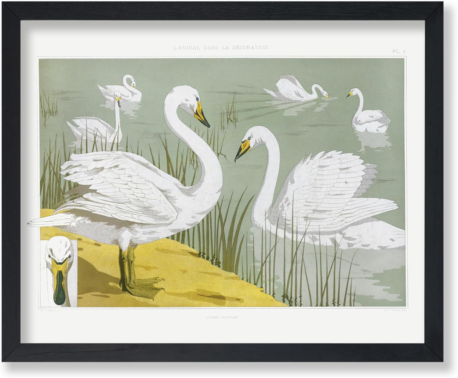 Poster Master Vintage Japanese Crane Poster - Retro Red Crown Crane ...