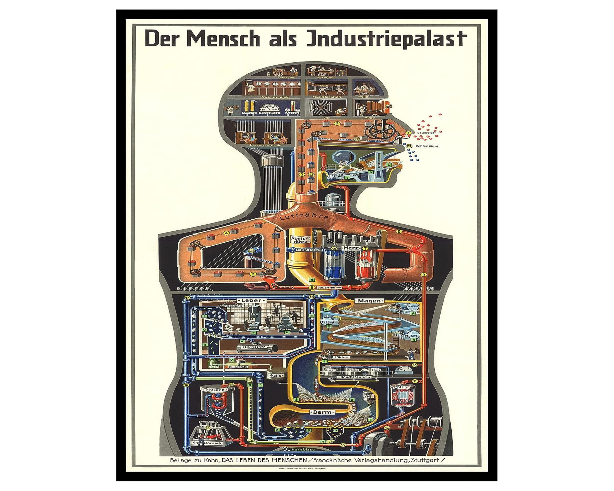 Poster Master Vintage Poster - Man As Industrial Palace - Fritz Kahn ...