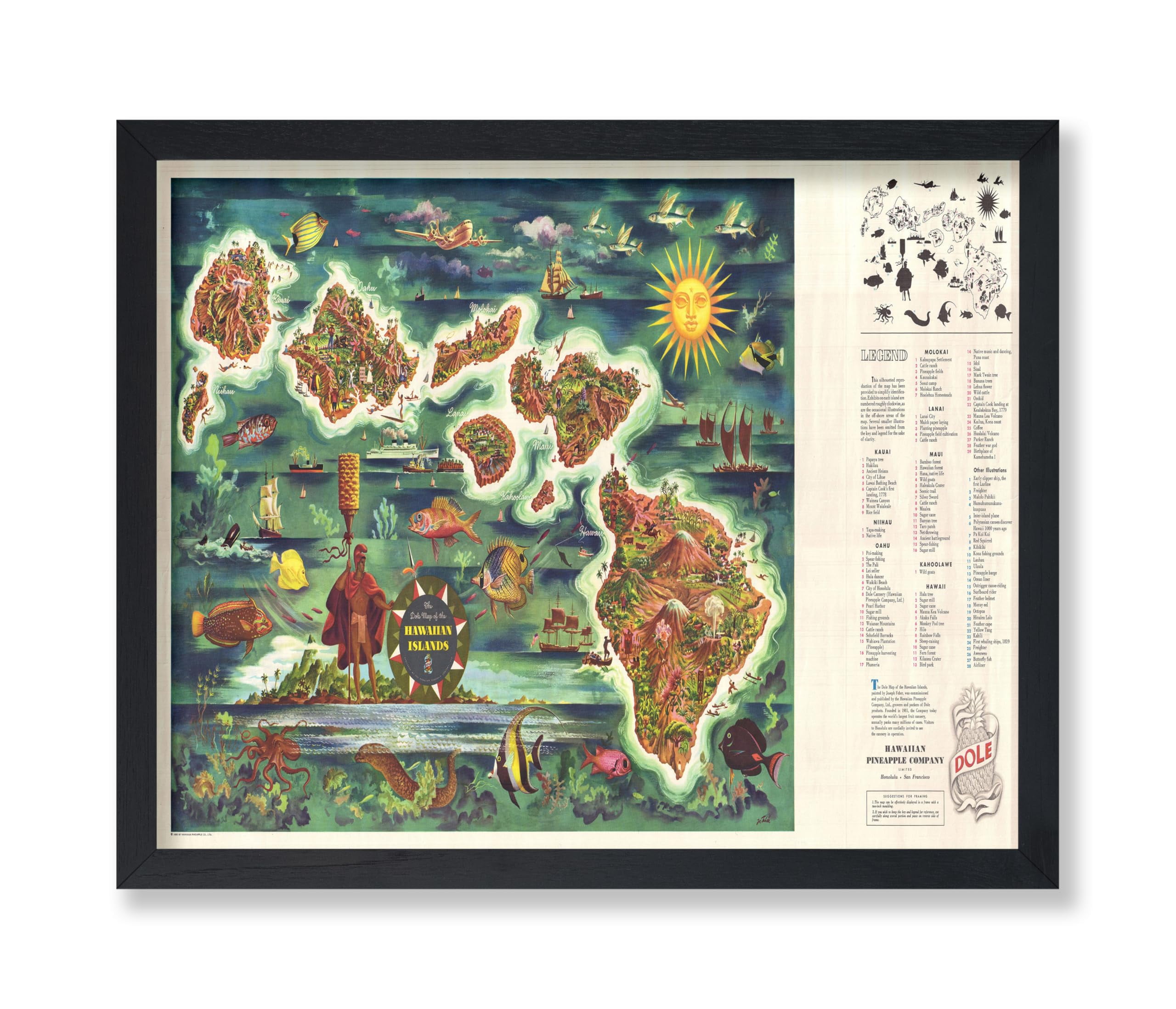Poster Master Vintage Map Poster - Retro Dole Map of the Hawaiian ...