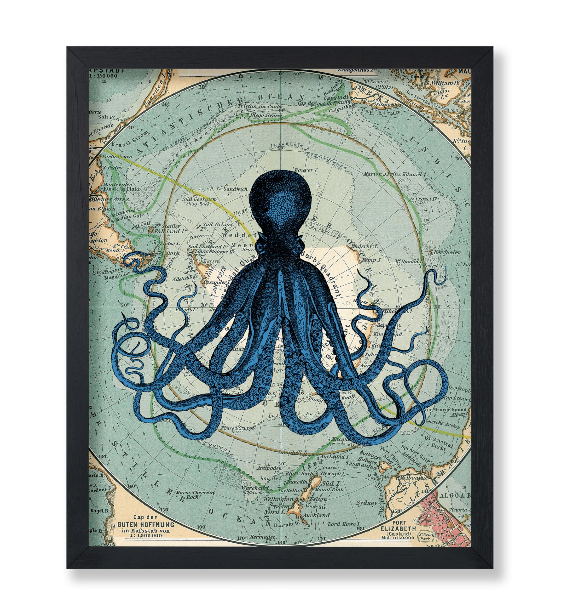 Poster Master Vintage Octopus Poster - Aquatic Print - Antarctica Map ...