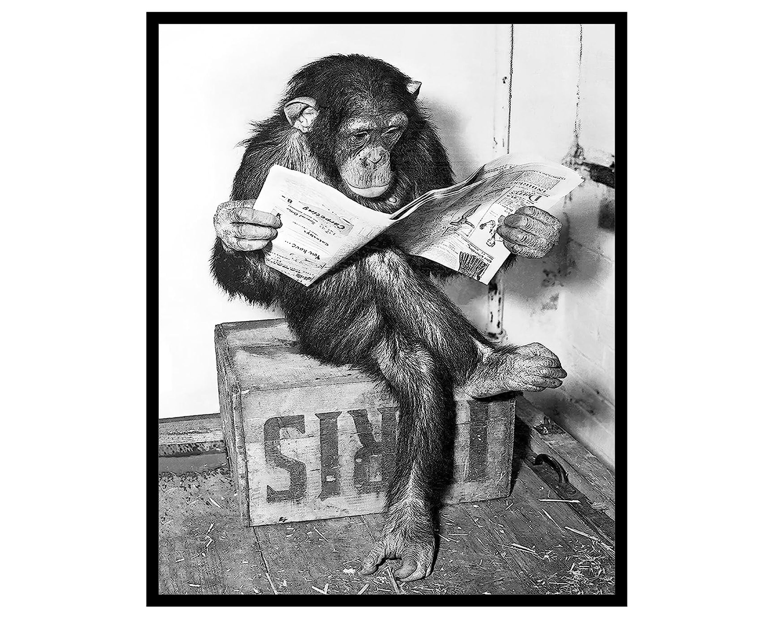 Poster Master Vintage Photograph Poster - Retro Funny Print - 11x14 ...