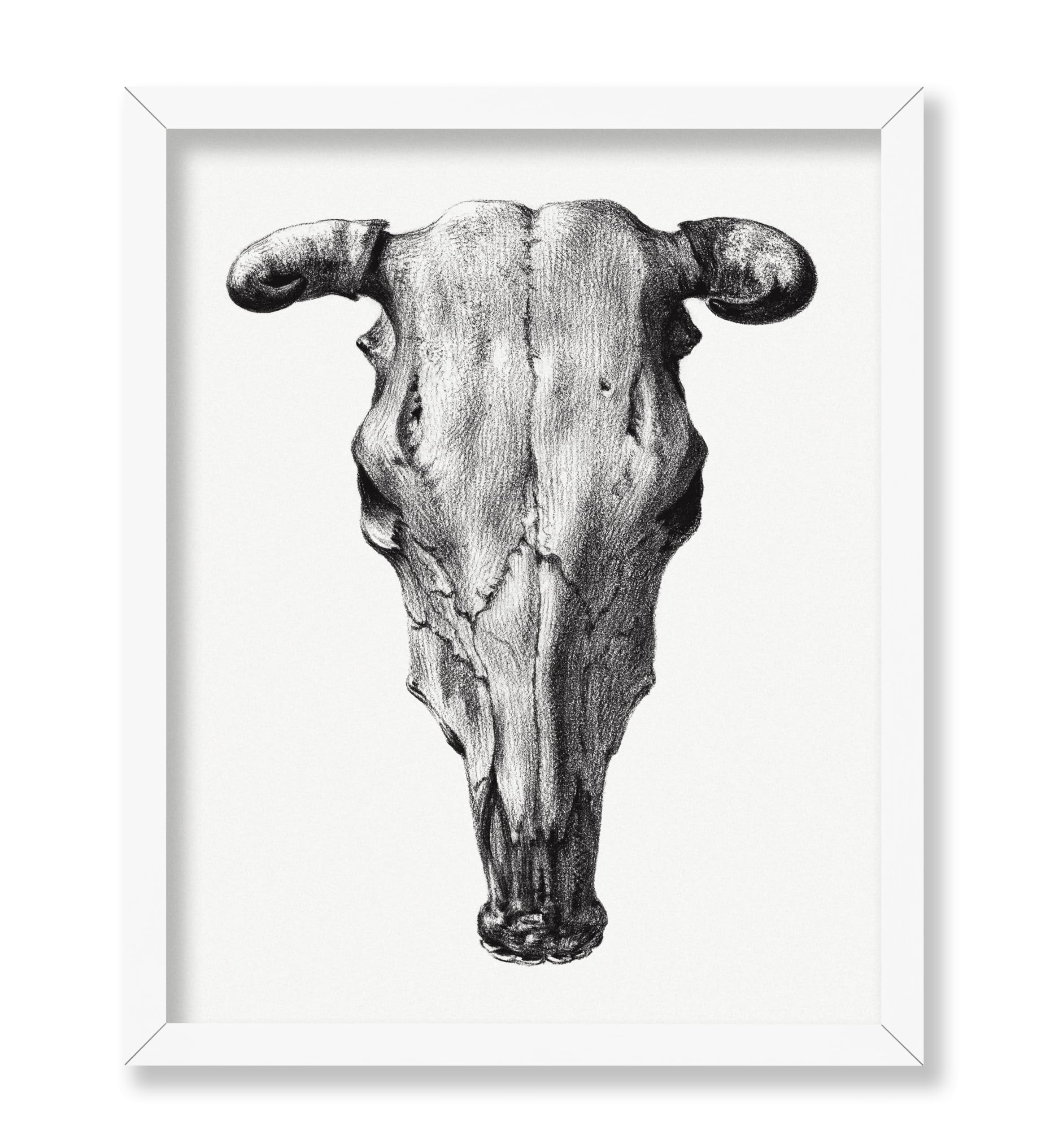 Poster Master Vintage Skeleton Poster - Retro Cow Skull Portrait Print ...