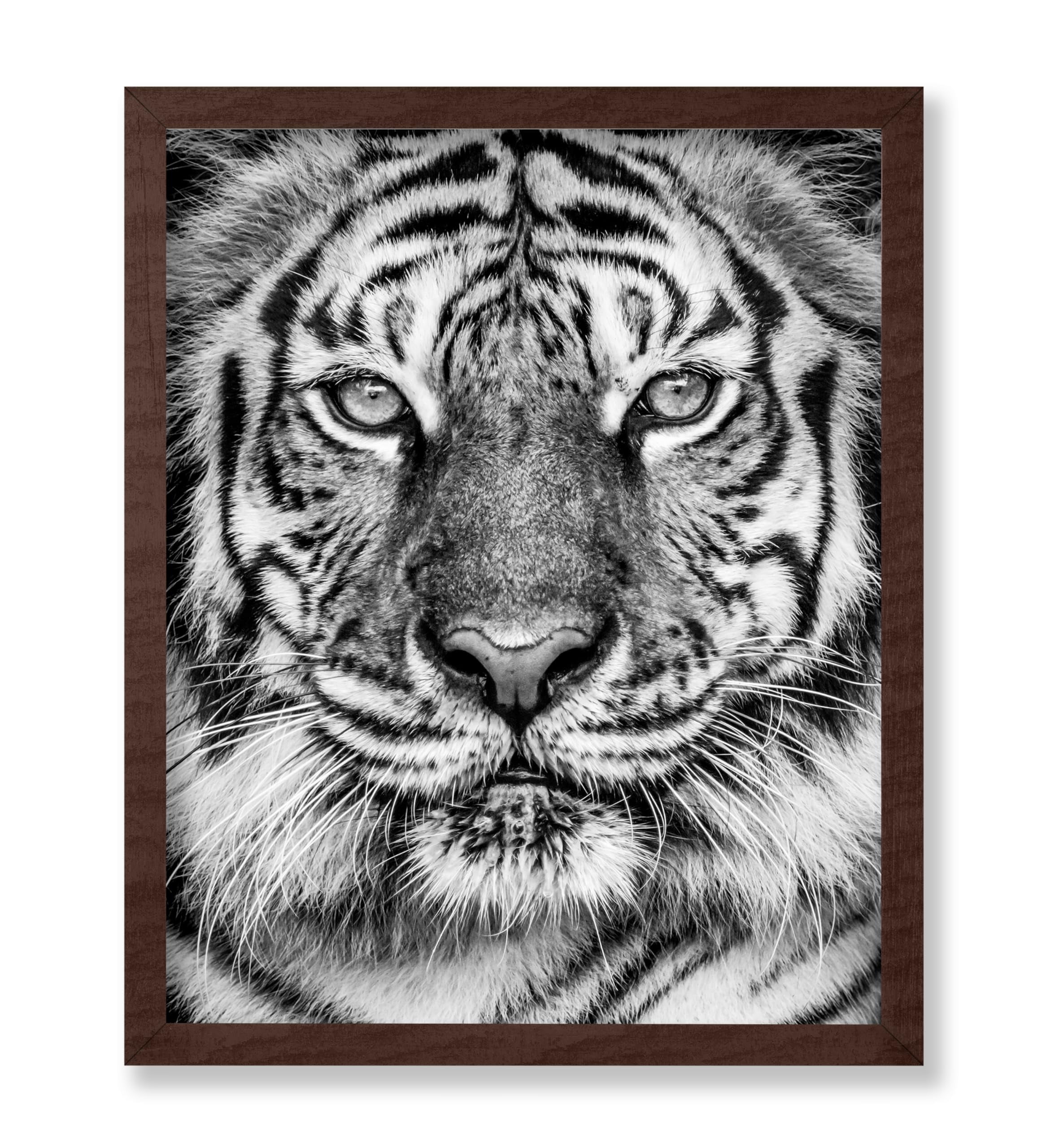 Poster Master Vintage Tiger Poster - Retro Tiger Face Print - Tiger ...