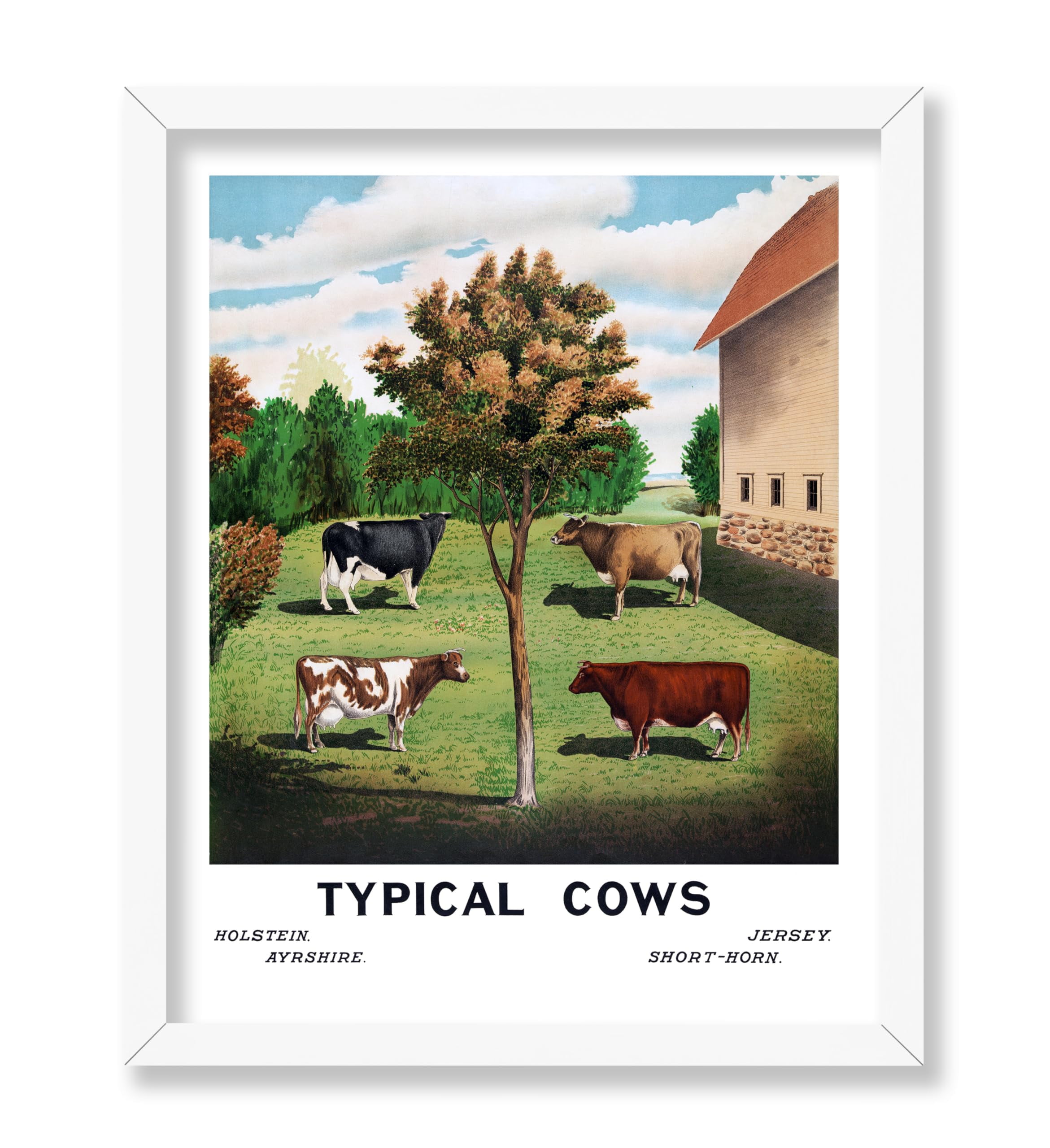 Poster Master Vintage Typical Cows Poster - Retro Cattle Print - Cow ...