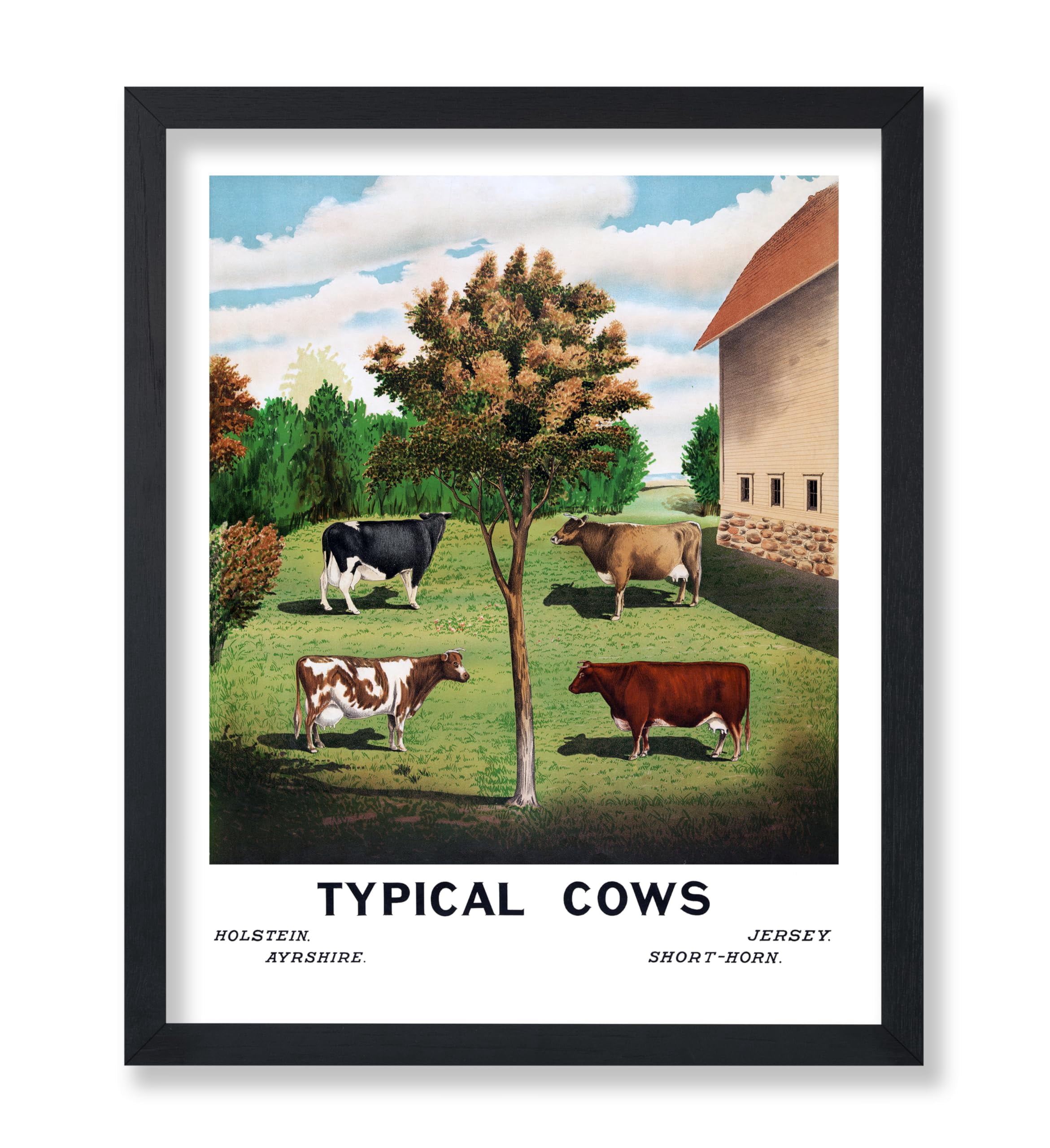 Poster Master Vintage Typical Cows Poster - Retro Cattle Print - Cow ...