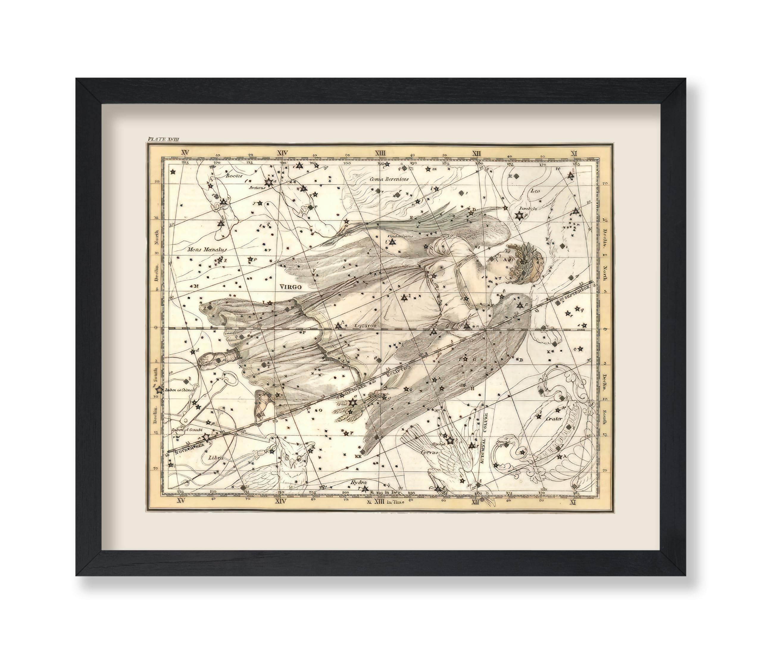 Poster Master Virgo Zodiac Sign Poster, Great Vintage Zodiac Poster ...