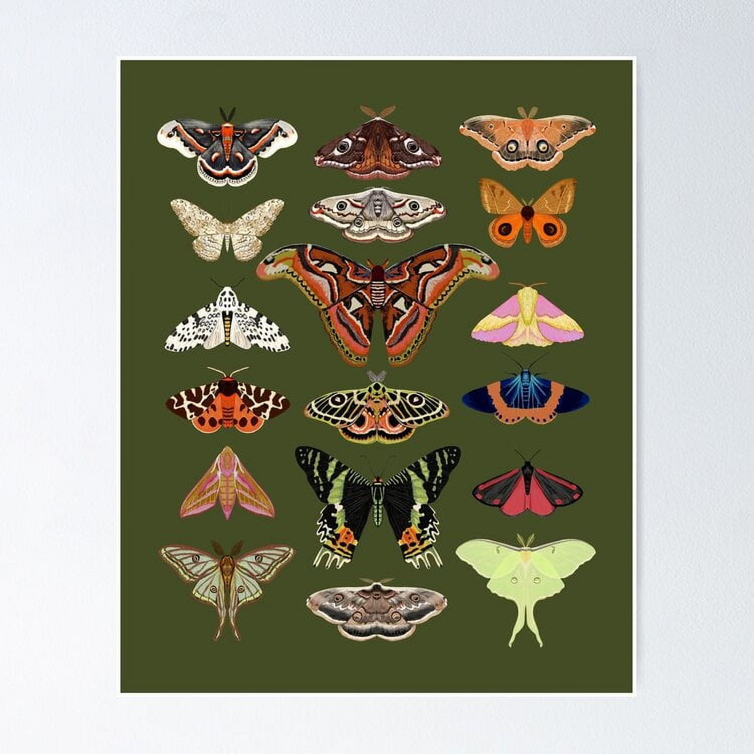 Poster Moth Green Cottagecore Beautiful Painted Insects Vintage Style ...