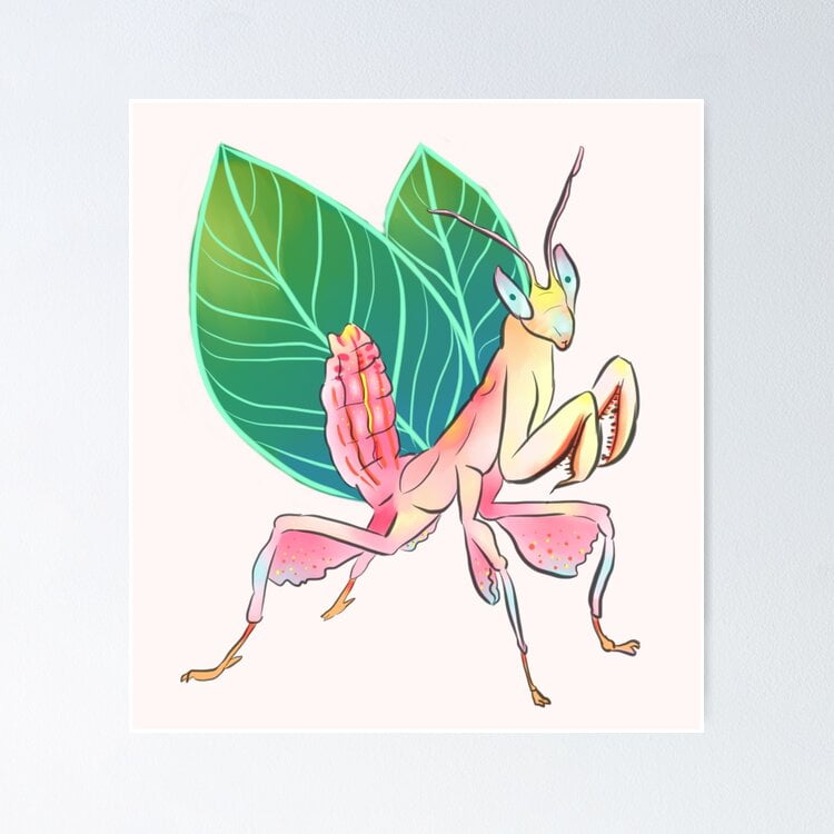 Poster Orchid Mantis is a fairy - Unframed Poster, 12x18 - Walmart.com