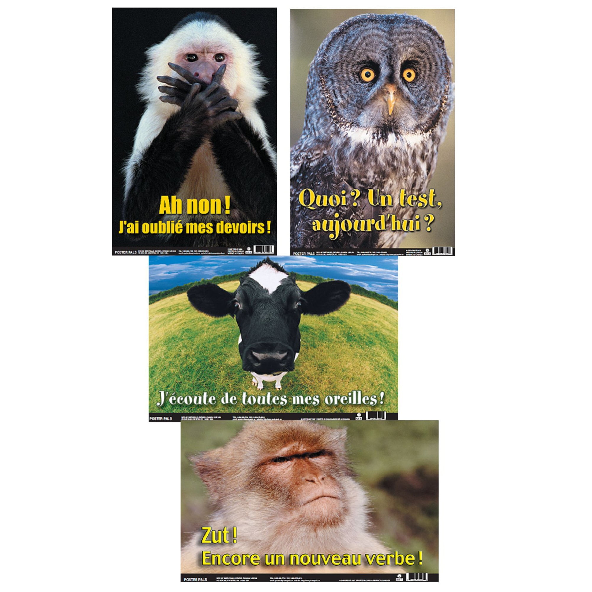 Poster Pals French Educational & Language Teaching Fun Photo Posters, 4 ...