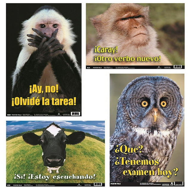 Poster Pals Spanish Educational & Language Teaching Fun Photo Posters ...