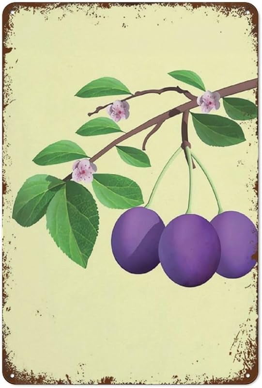 Poster Plums Fruit Print Wall Art Farmhouse Warehouse Barn Metal Plaque ...