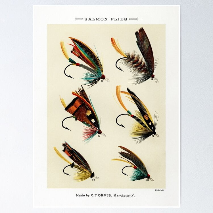 Poster Salmon Flies for Fishing - Unframed Poster, 12x18 - Walmart.com