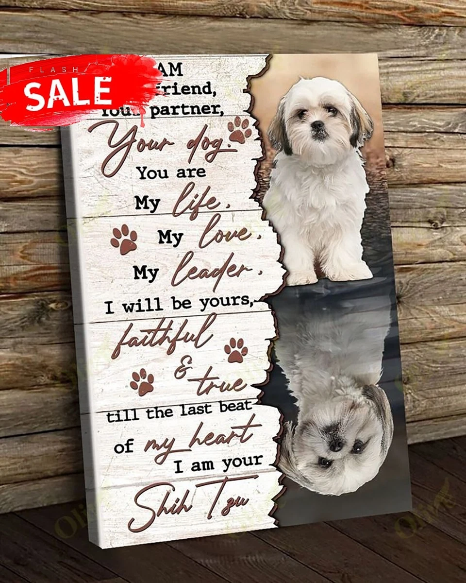 Poster Shih Tzu, I'M Your Amazing Shih Tzu - Dog Portrait Prints, Wall ...