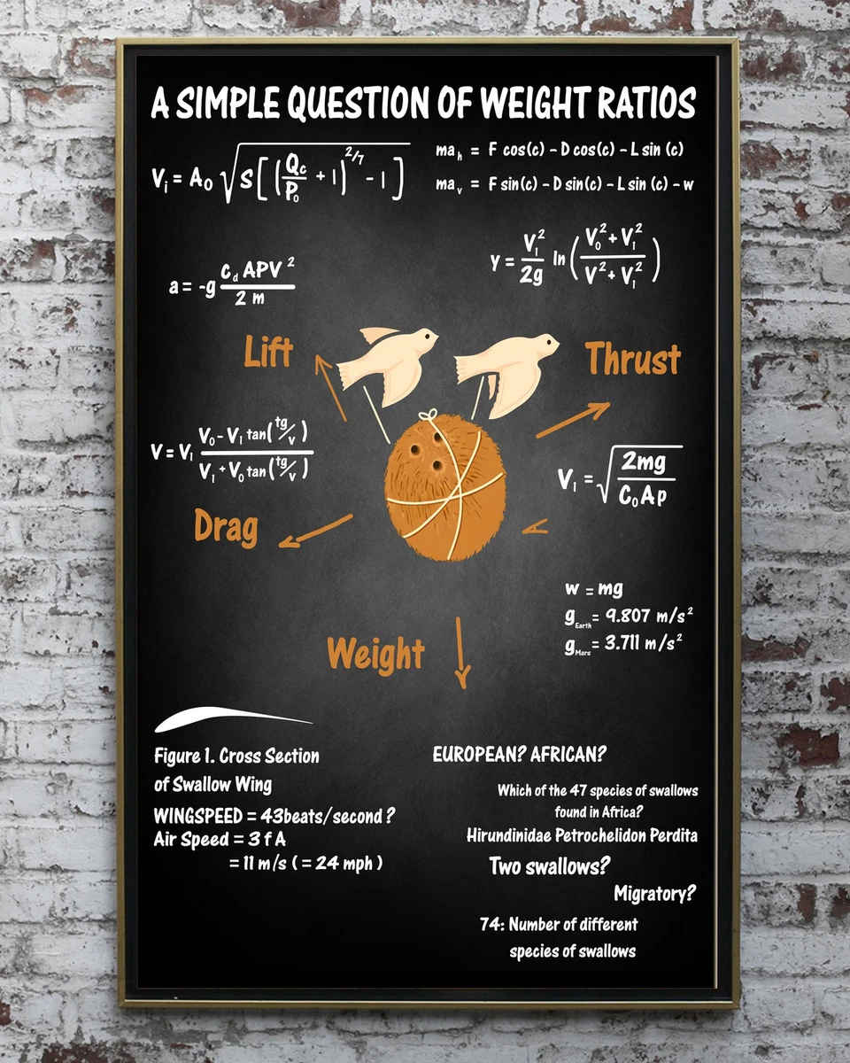 Poster A Simple Question Of Weight Ratios Vertical - UNFRAMED Poster ...