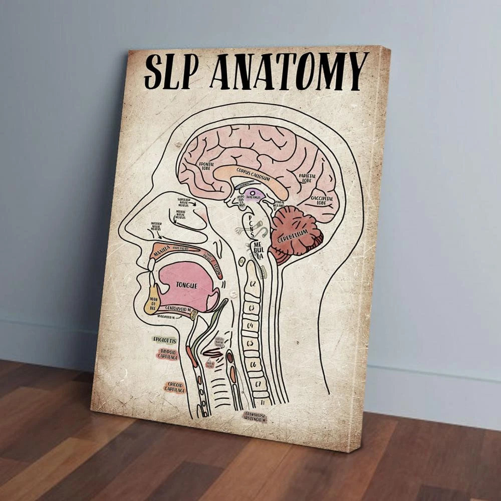 Poster Slp Anatomy Pathologist Vertical , _6962 Wall Art, Unframed ...