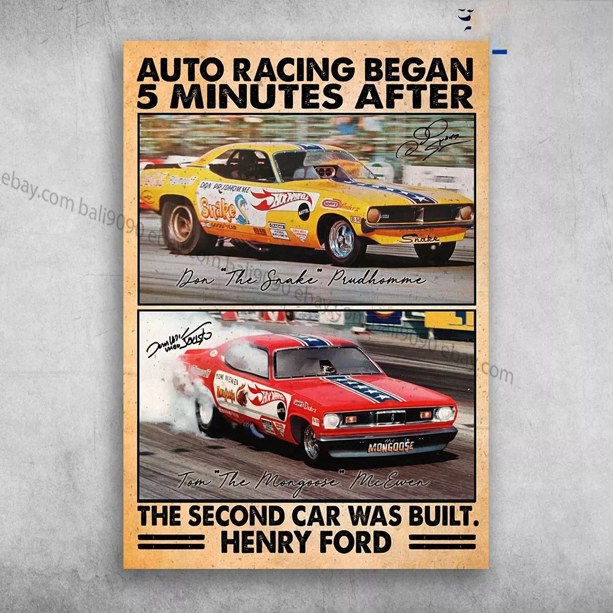 Poster Snake And Mongoose, Racing Car - Auto Racing Began 5 Minutes ...