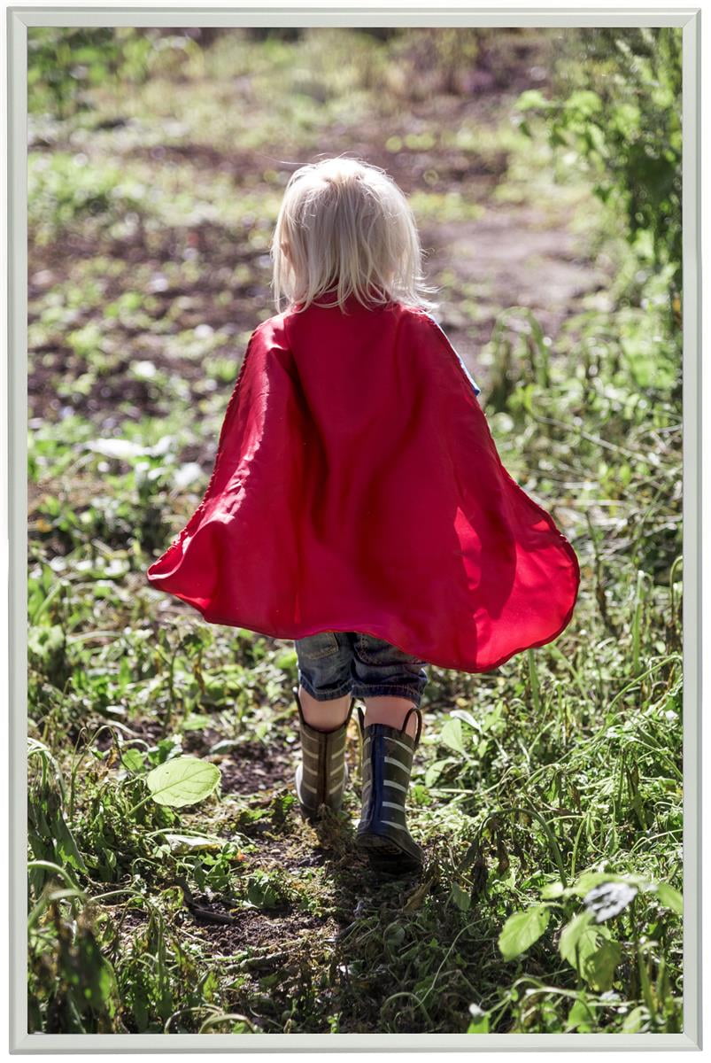 Wall Mounted Poster Snap Frame, 40” x 60”, Hinged Edging, Silver ...