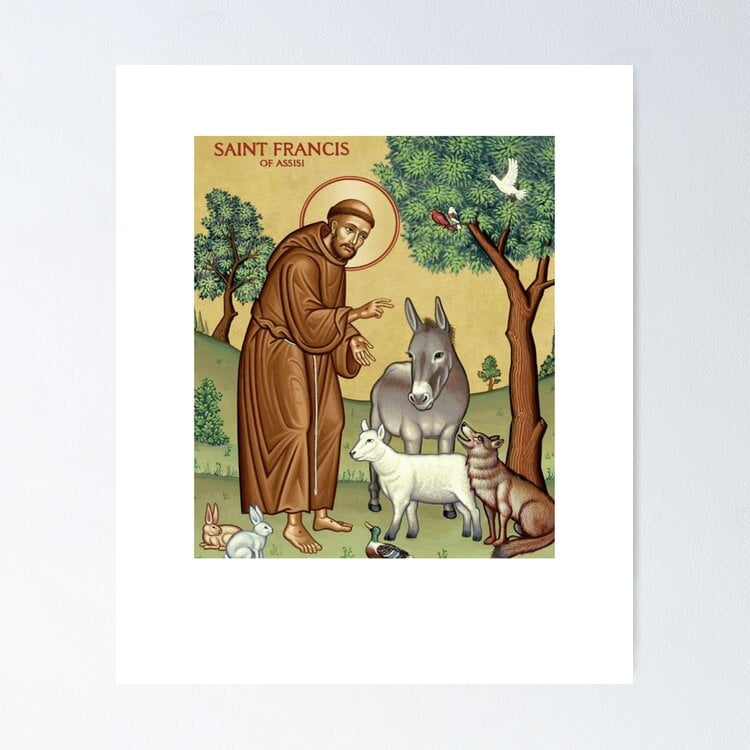 Poster St. Francis Of Assisi - Patron Saint Of Animals - No Framed ...