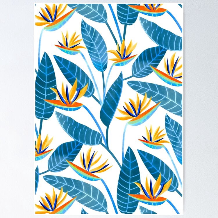 Poster Strelitzia Flowers - Cobalt Blue Poster - No Framed, Vintage ...
