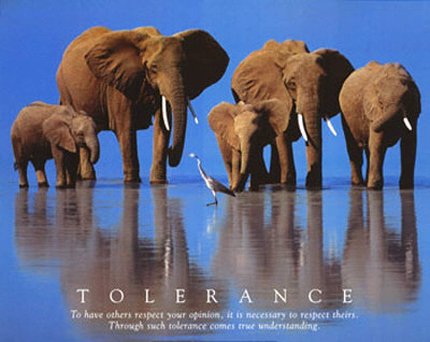 Poster - Studio B - 24x36 Tolerance Wall Art CJ1267 - Walmart.com