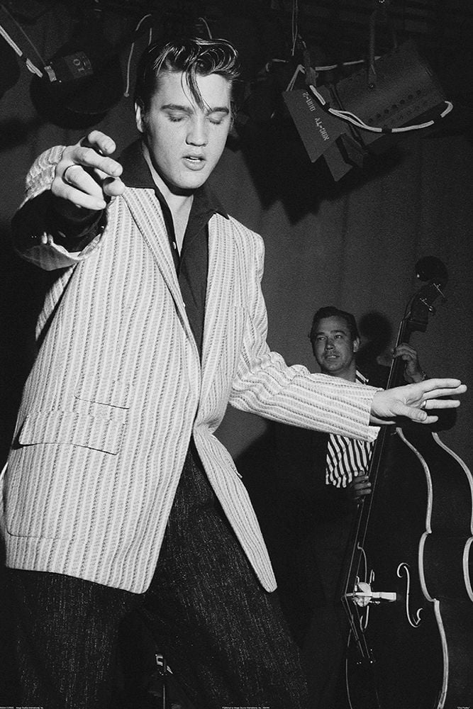 Poster - Studio B - Elvis Presley - Hips 36x24" Wall Art p6444 ...