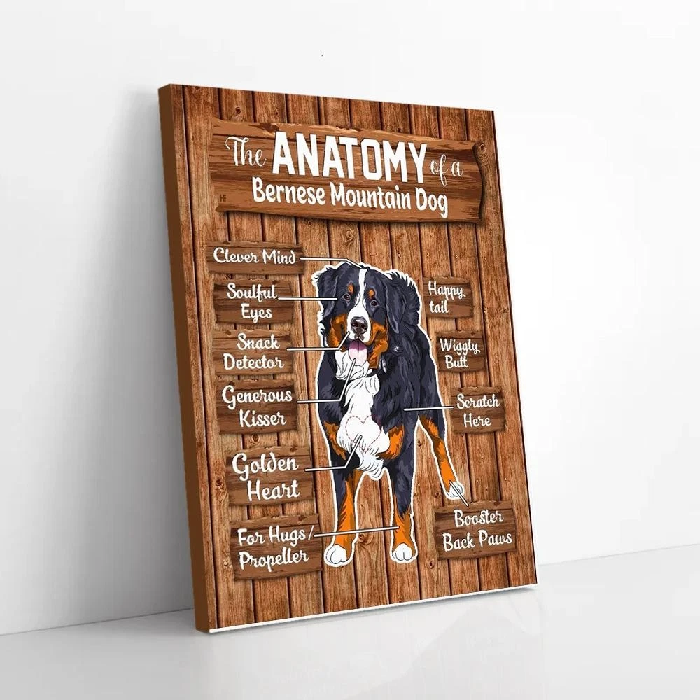 Poster The Anatomy Of A Bernese Mountain Dog, Wall Art, Unframed Prints For Home Or Office ...