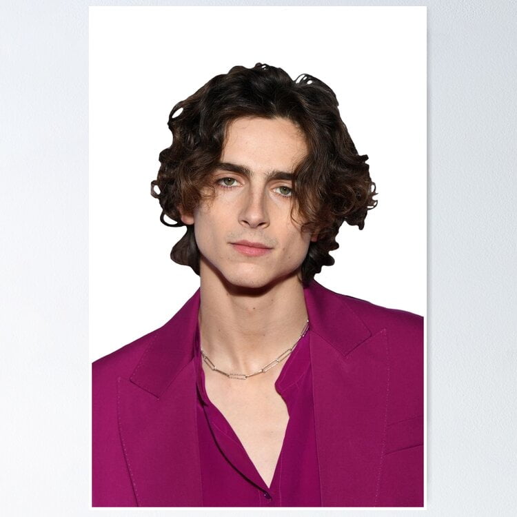 Poster Timothã©E Chalamet Poster No Framed, 24x36 - Walmart.com