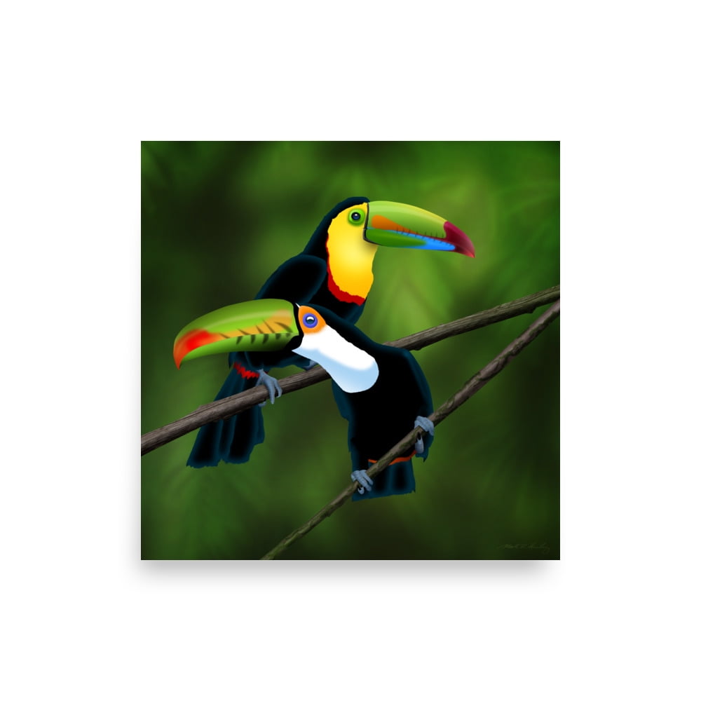 Mark Hailey Art | Two Toucans Poster 14"x14" - Walmart.com