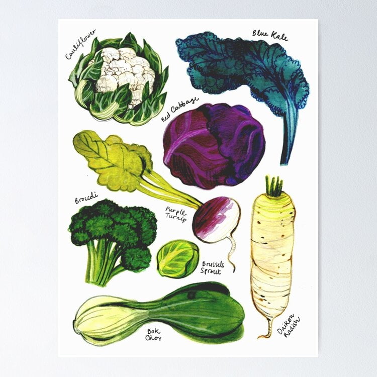 Poster Vegetable Print Wall â€¢ Vegetable â€¢ Cozy Kitchen Art â ...