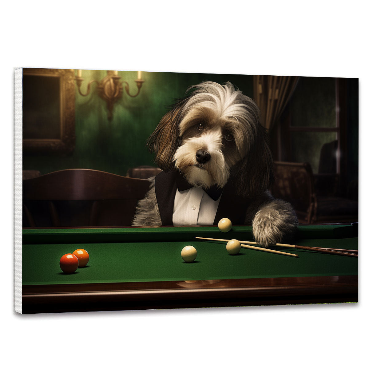 Poster Wall Art 12x8in Dogs Playing Pool Poster - Lowchen Dog Poster ...