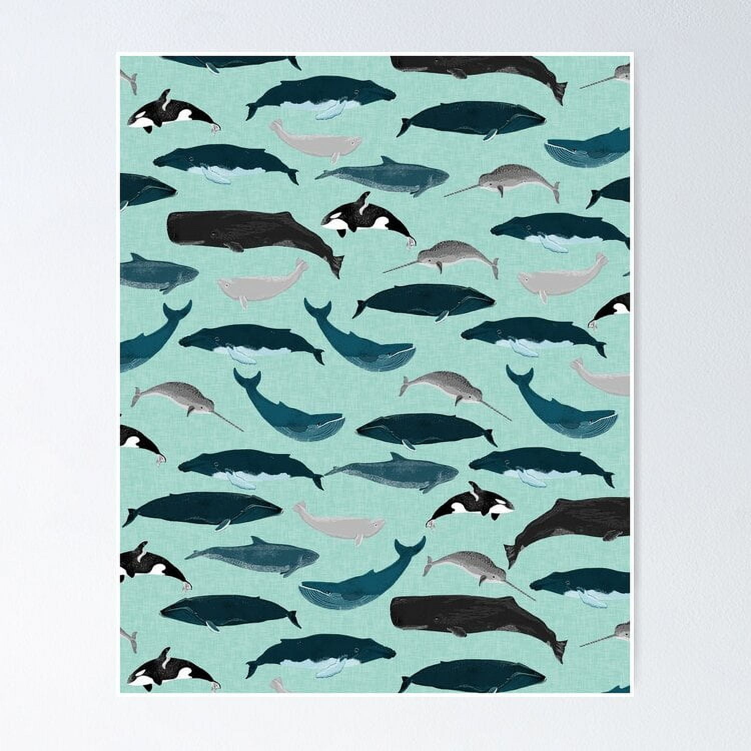 Poster Whales And Porpoises Sea Life Marine Animals Nature Biology ...